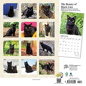 The Beauty of Black Cats | 2024 12 x 24 Inch Monthly Square Wall Calendar | Sticker Sheet | StarGifts | Animals Kittens Feline