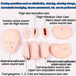 Nursing Training Manikin, Demonstration Human Manikin for Nursing Training, Training CPR Simulator, 170 cm Male & Female PVC Anatomical Mannequin, Body Care Simulator Model