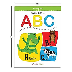 Writing Practice Boxset (Writing Fun)