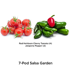 AeroGarden Salsa Garden Seed Pod Kit