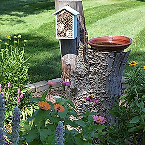 Nature's Way Bird Products PWH1-C Teal Bee House