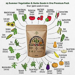 25 Summer Vegetable & Herb Garden Seeds Variety Pack for Planting Outdoors and Indoor Home Gardening 3500+ Non-GMO Heirloom Veggie & Herb Seeds: Tomato Pepper Okra Bean Cucumber Basil Rosemary & More
