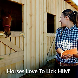 Himalayan Nature 100% Natural Himalayan Rock Salt Block - Mineral Salt Licking Brick for Animals, Horses & Deer | 5 LBS, 5-8 LBS