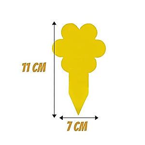 Super Ninja Gnat Traps for House Indoor - 10 Traps - Highly Effective and Ecological Gnat Traps - Fungus Gnat Killer Indoor - Fungus Gnat Sticky Trap for Fungus Gnat and Whitefly - Up to 3 Months