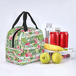 Flamingo Tropical Flowers Reusable Insulated Lunch Bag For Women Men Waterproof Tote Lunch Box Thermal Cooler Lunch Tote Bag For Work Office Travel Picnic