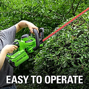 Greenworks 40V 12-Inch Cordless Chainsaw, 2.0Ah Battery and Charger Included 20262 with 40V Hedge Trimmer