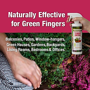 EcoVenger (Formerly EcoRaider) Garden Insect Control 16OZ, Plant Extract Based, Indoor & Outdoor, Kills Aphids, Mealybugs, Spider Mites and Gnats All Stages and Eggs, Non-Toxic Child & Pets Safe