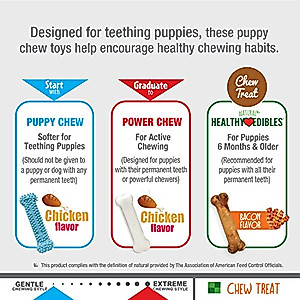 Nylabone Puppy Triple Pack - Blue Puppy Teething Toy, Nylon Dog Toy, & Chew Treat Variety Pack - Puppy Supplies - Chicken and Bacon Flavors, Small/Regular (3 Count)