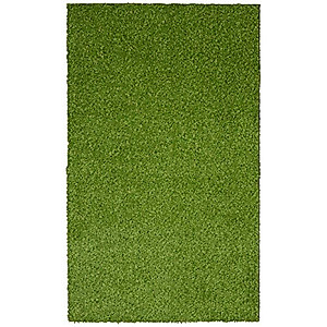 Garland Rug Puppy Pee Pad Artificial Grass Turf Rug, 3 ft x 4 ft, Green