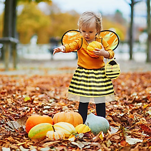 Toycost Girls Princess Dress up Trunk Ladybug, Bee, Butterfly, Green Fairy Role Play Costume Set for Little Girls Toddler Aged 3-7