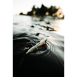 MONSTERBASS Topwater Bass Fishing Kit Packed with 6-8 of The Best Topwater Baits! Brand Name Frogs, Baits & Lures to Help You Catch More Fish!