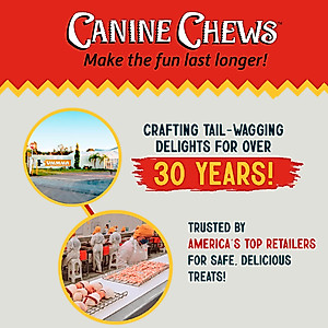 Canine Chews 10-11" Dental Coated Jumbo Rawhide Retriever Rolls (8 Pack) - Breath Freshening & Long Lasting Dental Chews for Dogs Large Size - Teeth Cleaning Dog Treats for Aggressive Chewers