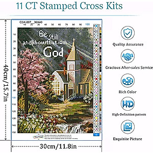 Jesus Cross Stitch Kits for Adults - Stamped Crossstitching Kits Preprinted 11 Count Cross-Stitch Kit for Beginner, 11CT Prestamped Easy Pattern Needlepoint Kits Crafts for Decor 11.8x15.7inch