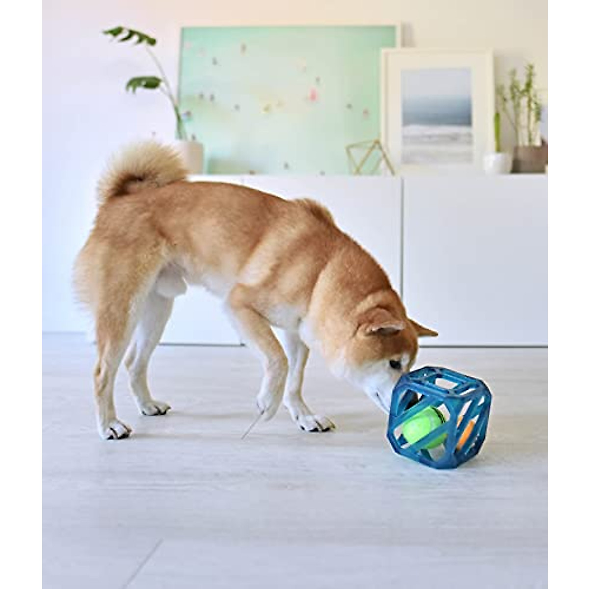 Outward Hound Puzzle Cube Interactive Squeaky Dog Toy