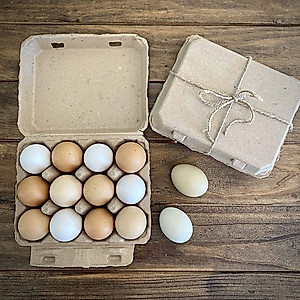 Midautoo 40Pcs Vintage Blank Egg Cartons- Classic 3X4 Style Holds 12 Eggs, Sturdy Design Made from Recycled Egg Box D