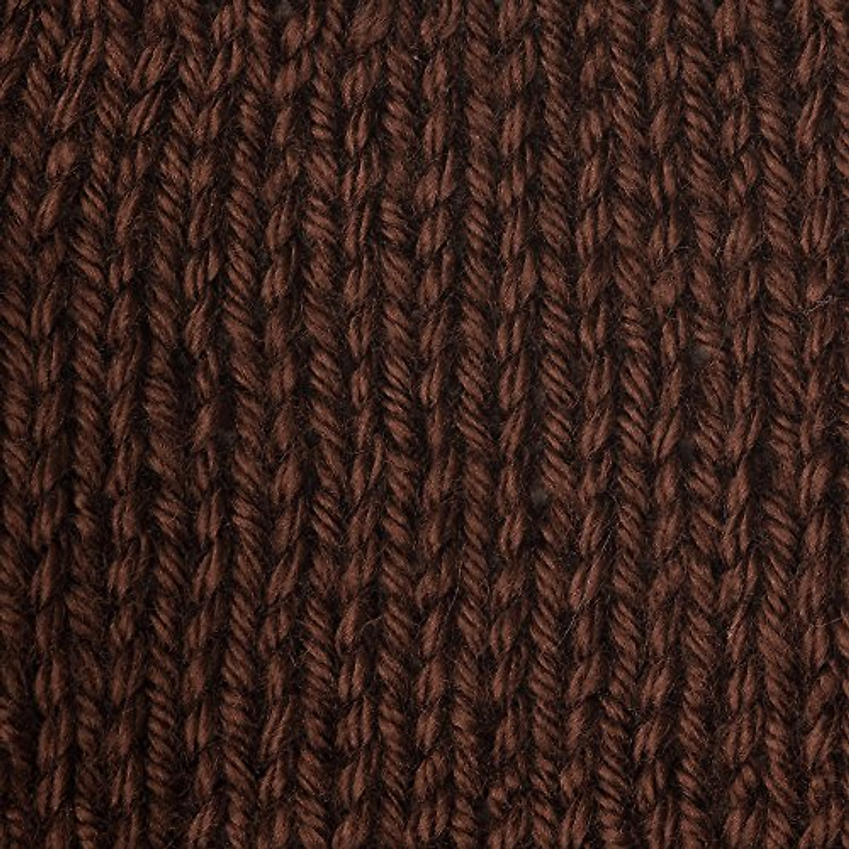 Caron Simply Soft Solids Yarn, 6oz, Gauge 4 Medium, 100% Acrylic, Chocolate - Machine Wash & Dry (H970039750)