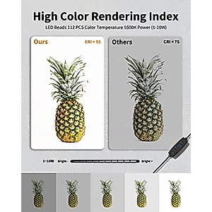 Glendan Portable Light Box Photography, 16"x12" Professional Dimmable Photo Box with 112 High Color Rendering Index LED Lights & 8 Color PVC Backdrops for Jewelry and Small Item Product Photography