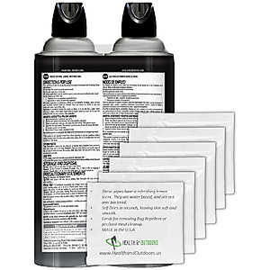 Hot Shot 14 oz Wasp and Hornet Killer Spray (2 Pack) Plus Bonus HAO Towelettes