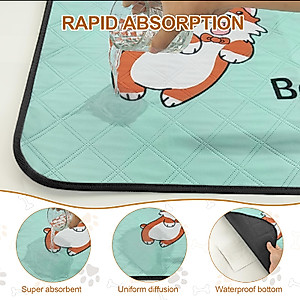 GOLOPET Washable Pee Pads for Dogs 47x32in 2-Pack Thick Reusable Puppy Pads Extra-Absorbent Prevent Leakage Non-Slip for Puppy Playpen, Crate, Whelping Box, Potty Training Reusable,Blue