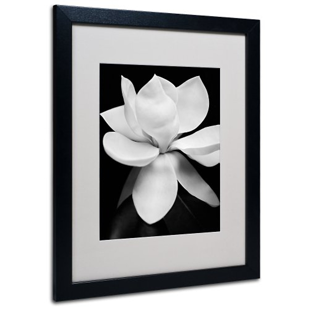 Magnolia Canvas Wall Art by Michael Harrison with Black Frame, 16 by 20-Inch