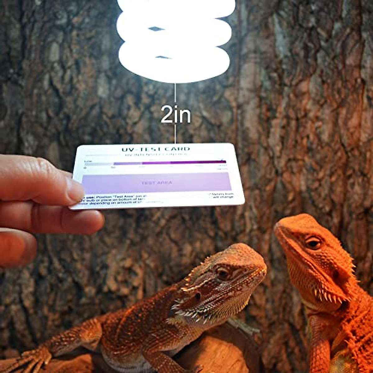LIKZINWA UVB Sensor Card, 2-Pack Test Card of Reptile Lamp UV Sensor Reptile UVB Fluorescent Lamp