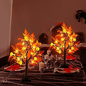 [ Timer ] 2 Pack 22 Inch Prelit Lighted Maple Tree Fall Halloween Decor Fall Tree 48 LEDs Battery Operated 12 Exclusive Patent Pumpkins 12 Acorns Orange Red Maple Tree Thanksgiving Decor Indoor Home