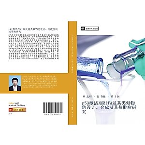 p53激活剂RITA及其类似物的设计、合成及其抗肿瘤研究 (Chinese Edition)