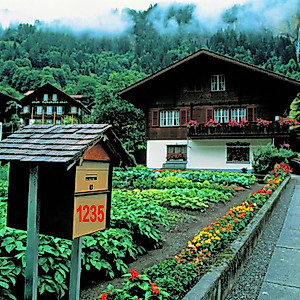 5 Sets 4 inch Mailbox Numbers Sticker 0-9 Decal Die Cut Classic Style Vinyl Waterproof Number Self Adhesive for Signs, Door, Cars, Trucks, Home, Address Number (Red)