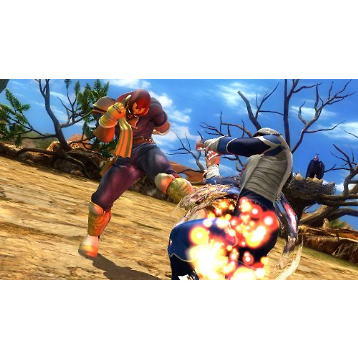 Tekken Tag Tournament 2 Wii U