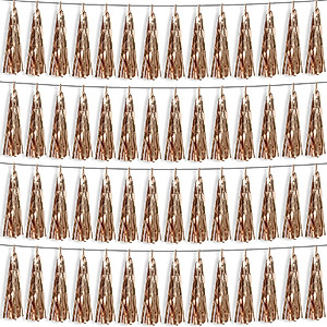 4P Champagne Gold Foil Fringe Metallic Streamers Banner Tassel Garland for Parade Floats, Bachelorette, Wedding, Birthday, Halloween, Christmas, Bridal/Baby Shower Party Decorations