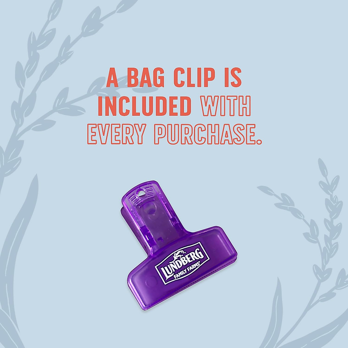 Lundberg Jasmine Rice, Microwave or Stovetop, 6-Pack – Long-Grain, Fluffy & Aromatic, Ready in 90 Seconds, Regenerative Organic Certified, 8 Oz Ea