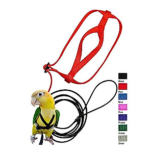 GFHFG Pet Bird Harness and Leash,Adjustable Parrot Bird Harness Leash - Pet Anti-Bite Rope Harness and Leash(M)