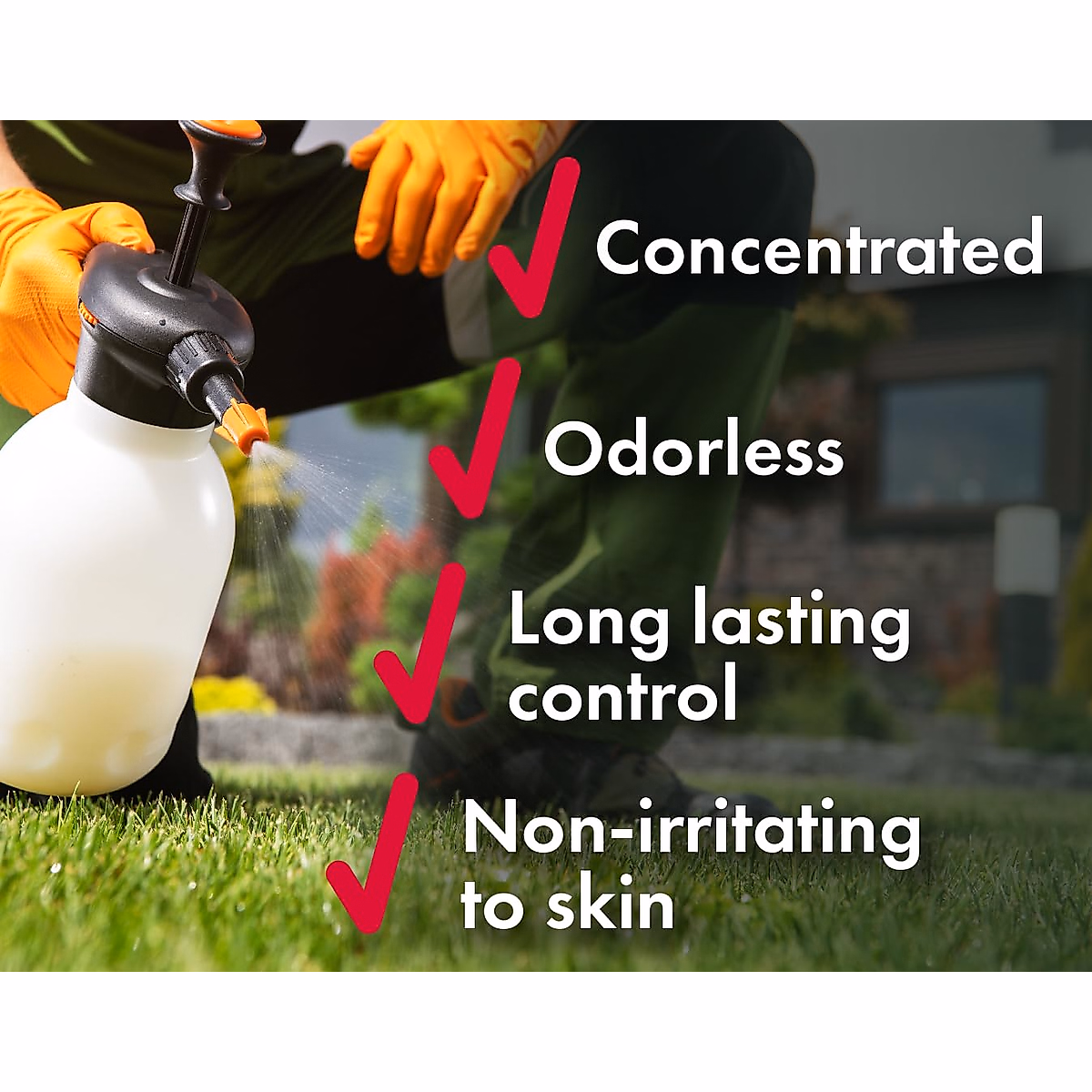 7.9% Bifenthrin Insecticide - 64 Ounces - (Compare to Leading Brands) – Professional Indoor & Outdoor Insect Control - Kills on Contact - Fire Ants, Ticks, Gnats, Fleas & More