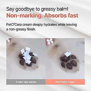 Breezytail PetO'Cera Expert Derma Care - Cream for Dogs | Ceramide Infused Skin Treatment | Moisturizes & Heals Rash, Hop Spots, Cracked Paws, Dry Irritated Skin | Hypoallergenic Daily Lotion 1.70o