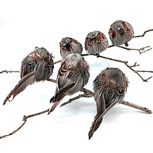 LWINGFLYER 6pcs Fat Sparrow Bird Decor Artificial Birds Feathered Foam Bird Clip on Festival Season Christmas Tree Home Garden Decoration (Brown)