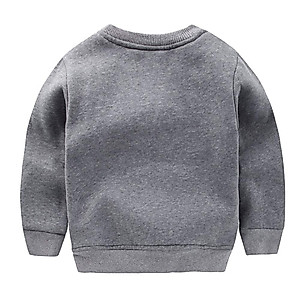 Toddler Boys Christmas Sweatshirts Long Sleeve Pullover Shirts Reindeer Sweaters Xmas Cartoon Tee Sport Tops 4t Gray