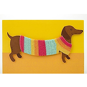 Hallmark Signature Birthday Card with Removable Dachshund Magnet (Dog in Sweater)
