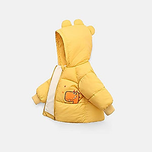 Baby Kids Hoodies Down Jacket, 12M-5Y Toddler Boys Girls Dinosaur Print Jacket Coat Fall Winter Keep Warm Hoodie Coat (2-3 Years, Yellow)