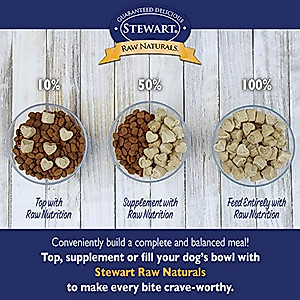 Raw Naturals by Stewart Freeze Dried Dog Food in Resealable Pouch, 12-Ounce, Chicken