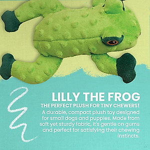 Snugarooz Lilly The Frog Dog Toy with Repair Patch – Soft & Durable Plush - Squeaker & Crinkle Sounds - Ideal for Medium Dogs - Fun & Safe Play