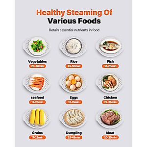 GDOR 3 Tier Electric Food Steamer for Cooking, 800W Vegetable Steamer for Fast Simultaneous Cooking, Boil Dry Protection, Dishwasher Safe, 60-Minute Timer, BPA-Free, 9.6 QT, White