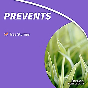 Bonide Stump-Out Granules, Do-it-Yourself At Home Stump Removal Pellets, 1 lb. Fast-Acting Formula for Outdoor Use