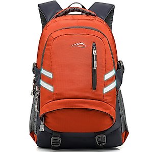 Backpack Bookbag for College Laptop Travel, Fit Laptop Up to 15.6 inch Multi Compartment with USB Charging Port Anti theft, Gift for Men Women (Orange)