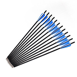 SinoArt 20" Carbon Crossbow Bolt Arrows Crossbolt Arrows with 4" vanes for Competition Practice Hunting