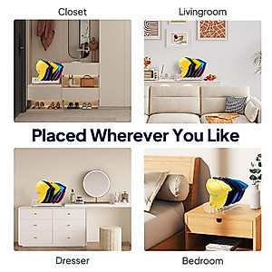 NEWFLY Hat Stand for Baseball Caps, 2 PCS Acrylic Hat Organizer for 14 Caps, No Install Baseball Hat Rack Hat Storage Holder, Hat Oragnizer Shelf Display for Closet Bedroom Dresser(Clear)