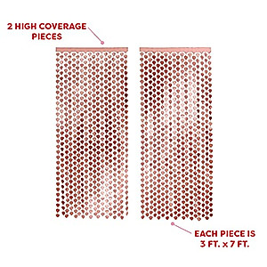 xo, Fetti Valentine's Day Heart Foil Curtain, Bachelorette Party Decorations - Set of 2 | Rose Gold Bridal Shower Birthday Gift Backdrop, Bridesmaid Favors, 21st, Vday