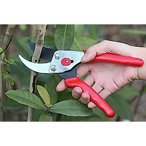 FLORA GUARD - 8.5Inch Traditional Bypass Pruning Shears - Professional Tree and Branch Garden Pruner