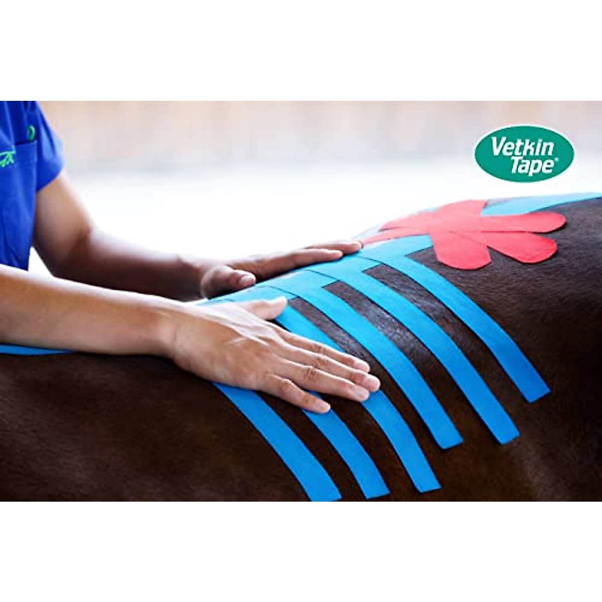 VETKIN VetkinTape® Veterinary Kinesiology Tape Blue | Kinesiology Tape for Horses & Dogs | Equine & Canine Kinesiotape | Latex Free and TÜV Quality Mark Certified Ktape | 4 inch | Pack of 1 Roll