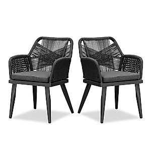 PURPLE LEAF 2 Pieces Outdoor Patio Dining Chairs All-Weather PE Rattan Patio Furniture with All Aluminum Frame for Lawn Garden Backyard Deck, Grey