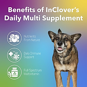 InClover Daily Multi Cat & Dog Vitamin - Canine & Feline Vitality Powder - Immunity Boost with Organic Blueberry, Seaweed, Turkey Tail Mushroom & Postbiotic Fibers - Critical Immune Defense Supplement